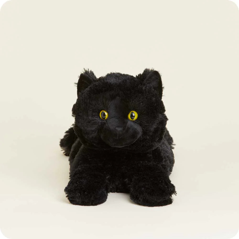 Warmies Stuffed Animal, Black Cat by Intelex – Summer’s Market Floral ...