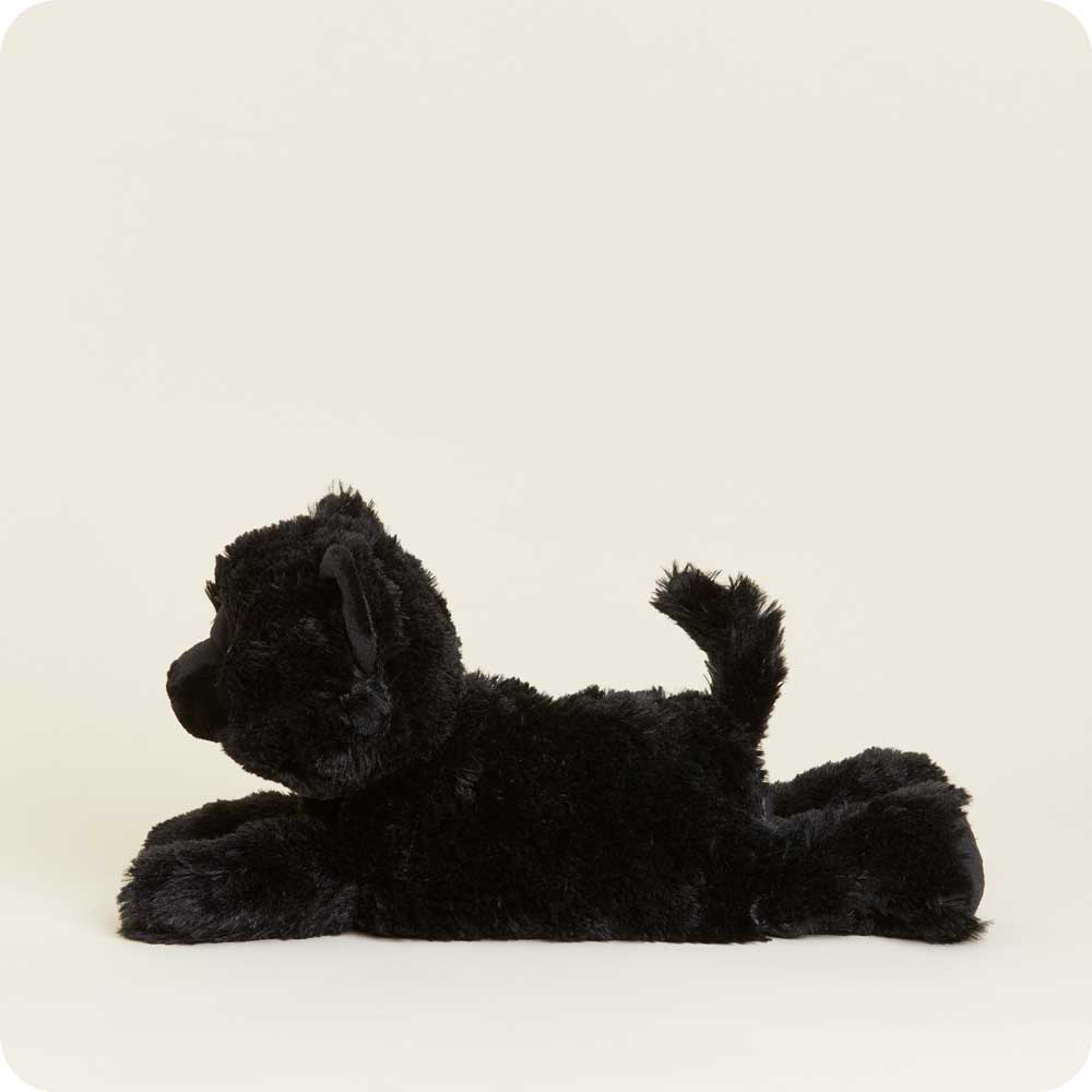 Warmies Stuffed Animal, Black Cat by Intelex – Summer’s Market Floral ...