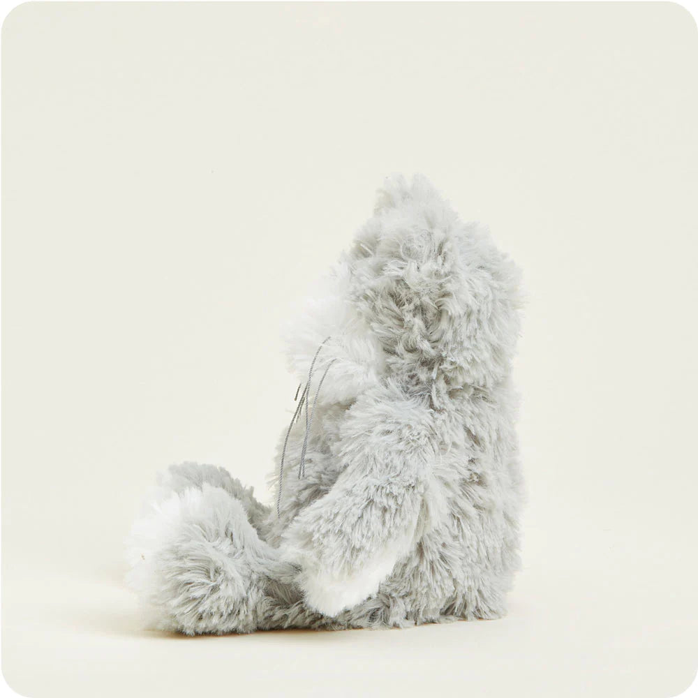 Warmies Juniors Stuffed Animal, Cat by Intelex – Summer’s Market Floral ...