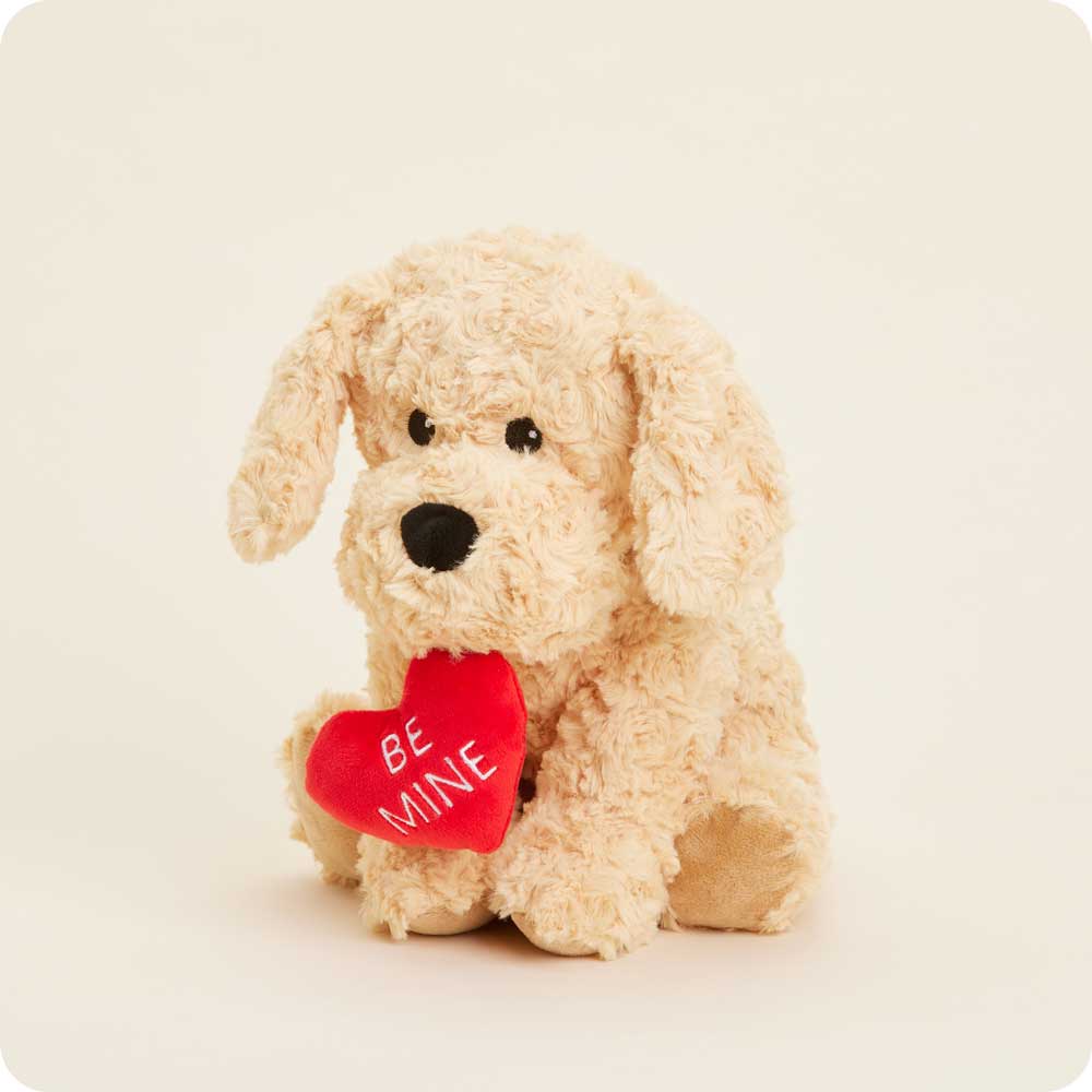 Warmies Stuffed Animal, "Be Mine" Golden Dog by Intelex – Summer’s ...