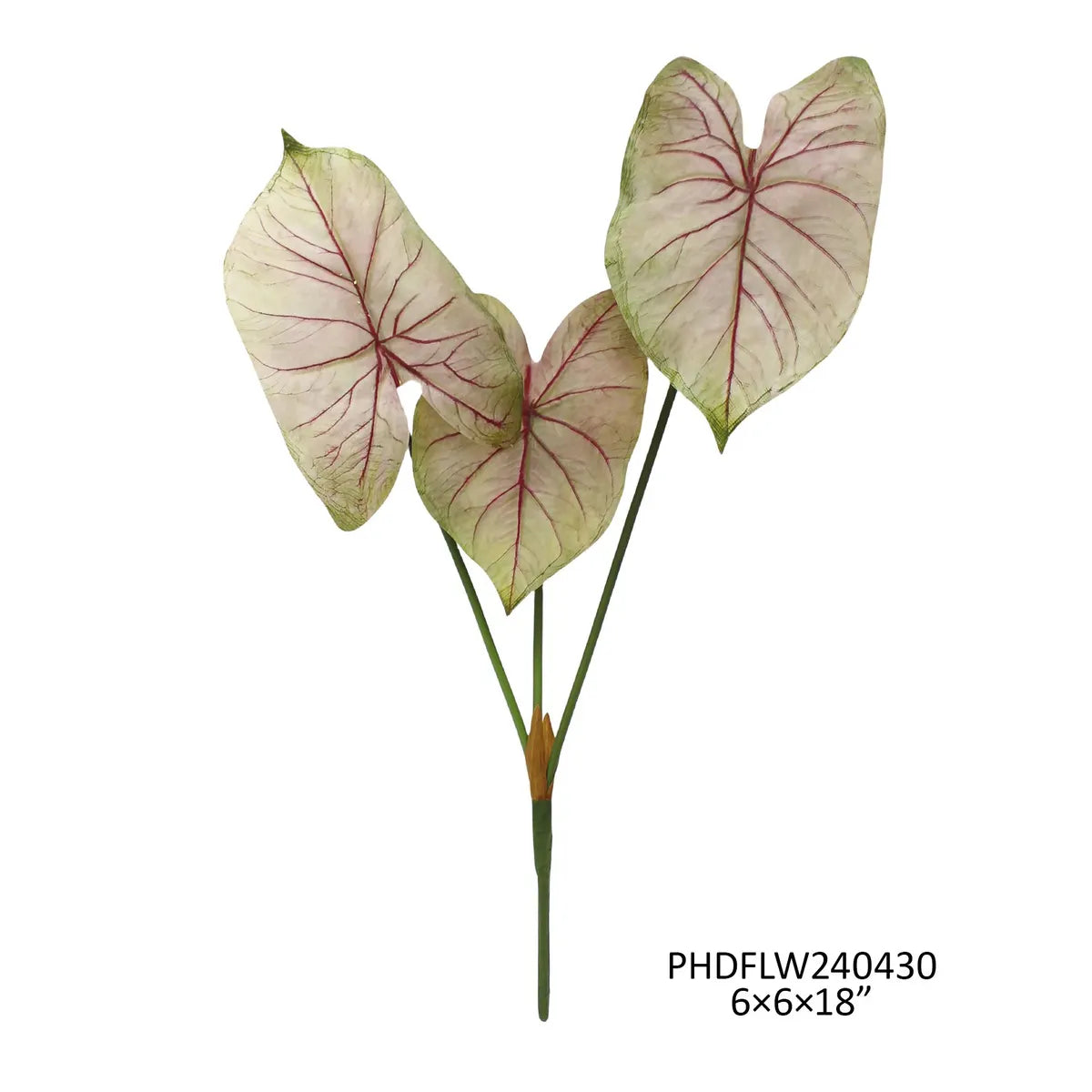 Caladium Stem, Light Blush, 18" by Porch View Home – Summer’s Market ...
