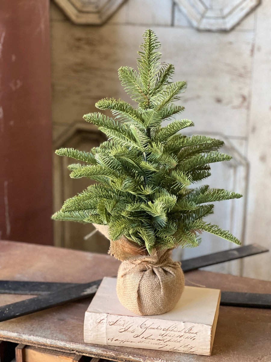 Shetland Spruce Tree, 20" – Summer’s Market Floral & Home Decor