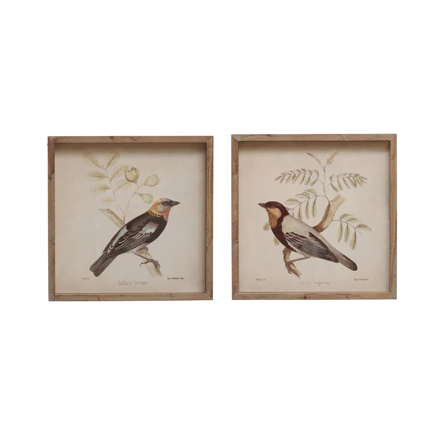 Framed Bird Wall Décor, 2 Style Options (Pick Up Only) – Summer’s ...
